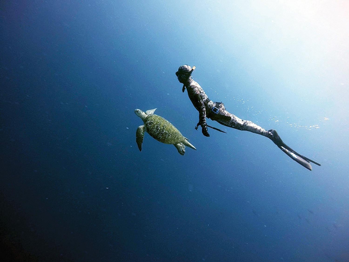 Dive Deep Into Sabah - IM First Class