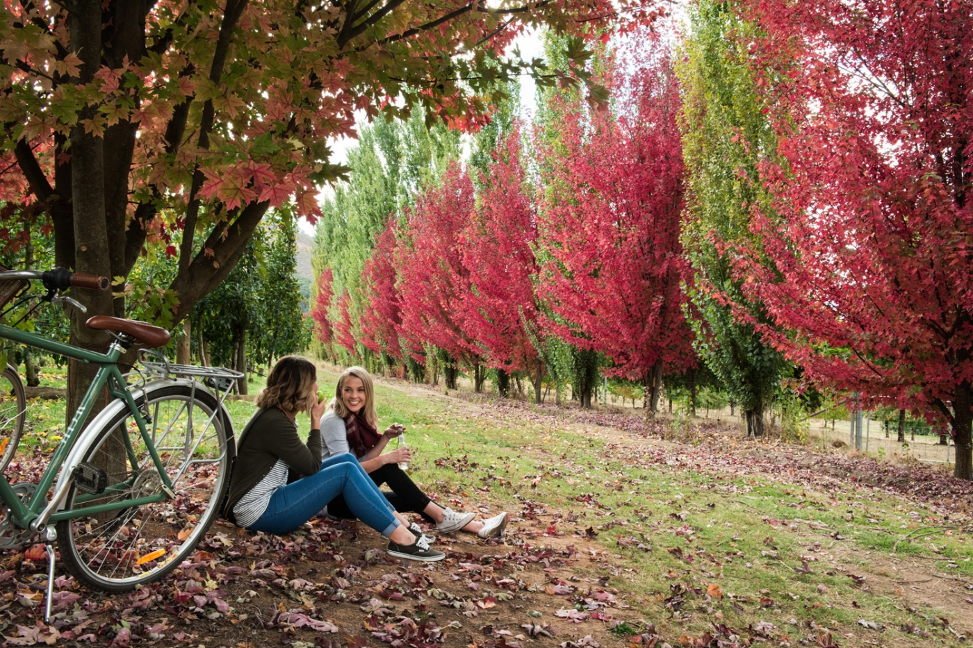 Spectacular autumn colours in Melbourne, Victoria: Chapter 2 - IM First ...